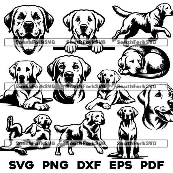 Lab Dog Svg - Etsy
