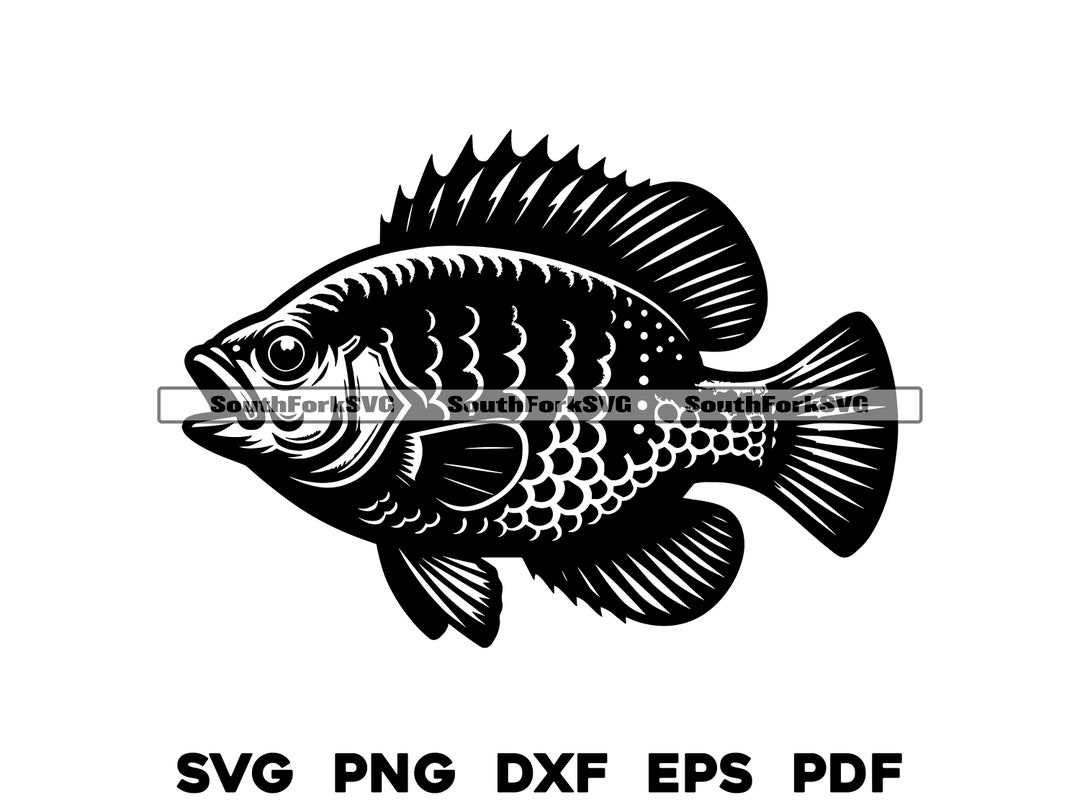 Bluegill Panfish Sunfish | Svg Png Dxf Eps Pdf | Transparent Vector ...