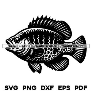Bluegill Panfish Sunfish | Svg Png Dxf Eps Pdf | Transparent Vector ...