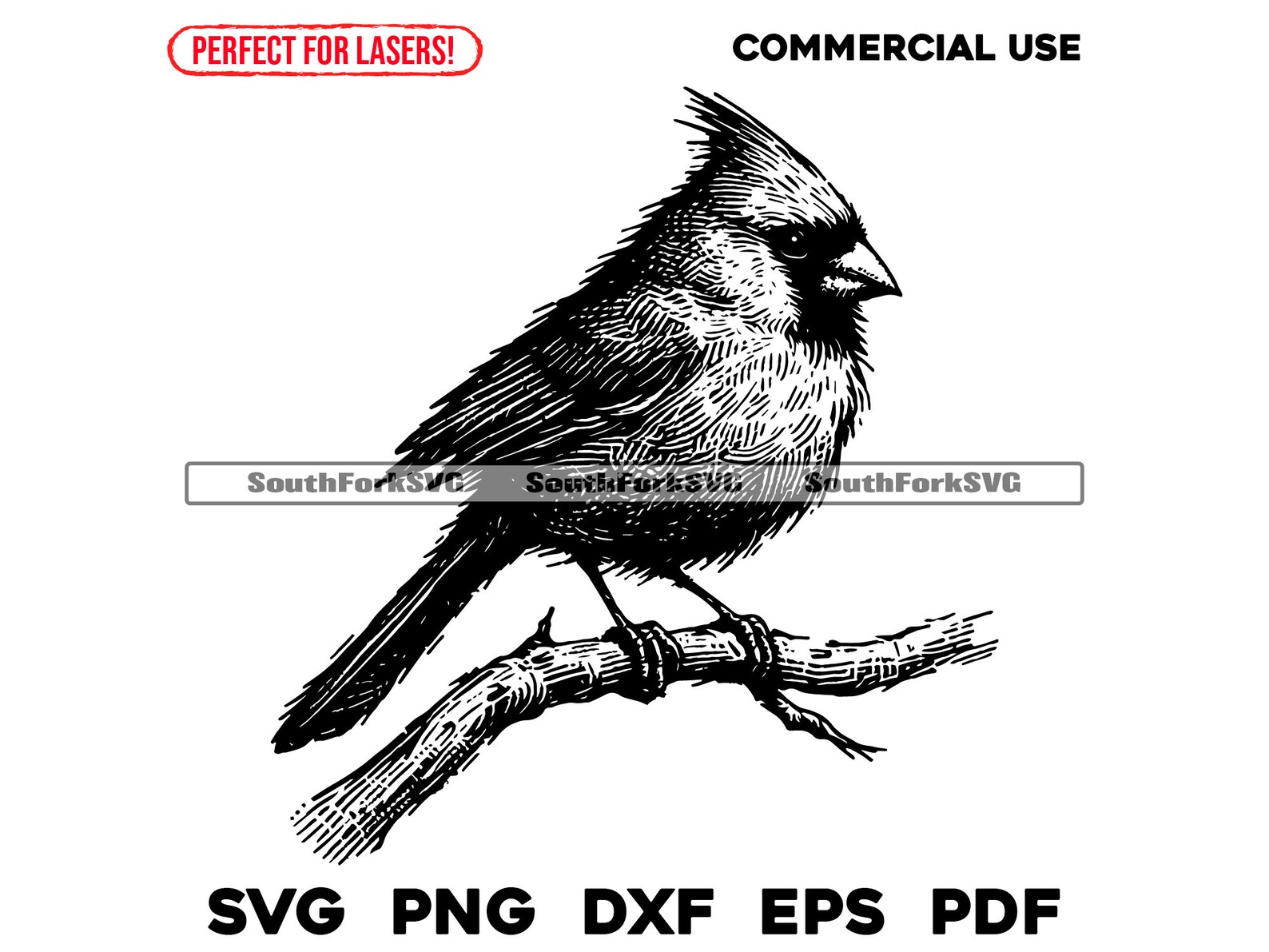 Cardinal Bird Laser Engrave Files Svg Png Dxf Eps Pdf Vector Graphic ...