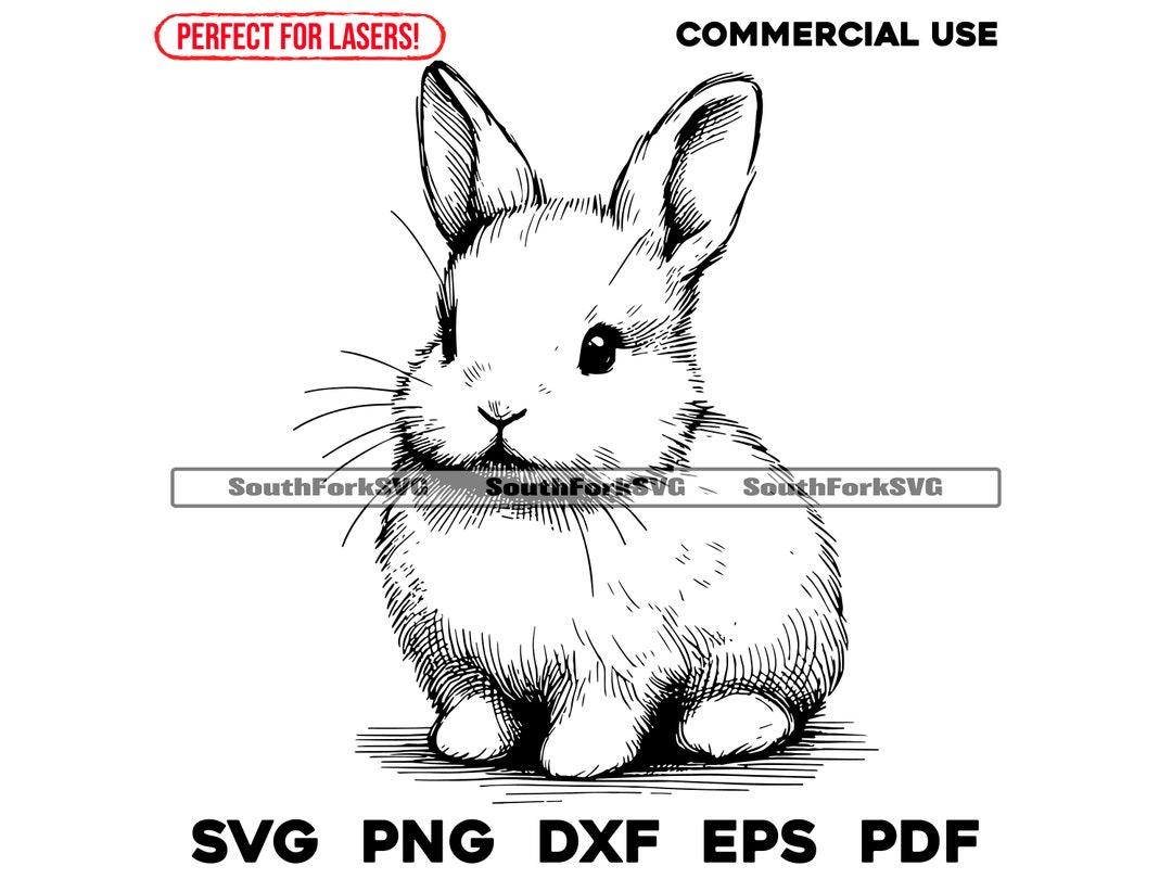 Laser Engrave File Cute Bunny Svg Png Dxf Eps Pdf | Vector Graphic ...