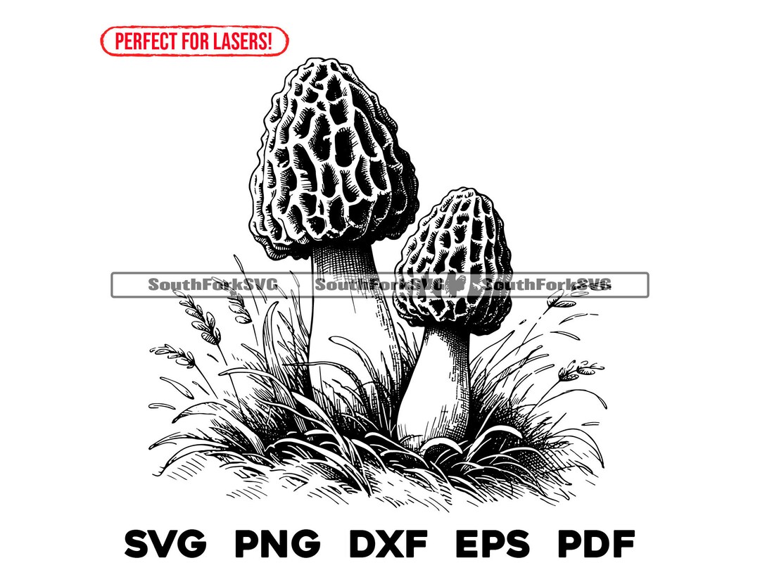 Morel Mushrooms Laser Engrave Files Svg Png Dxf Eps Pdf | Vector ...