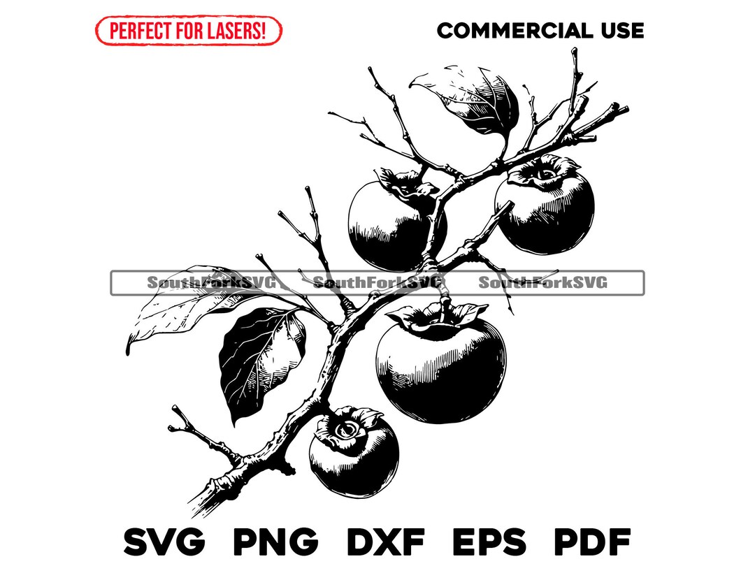Persimmon Branch Laser Engrave Files Svg Png Dxf Eps Pdf Vector Graphic ...
