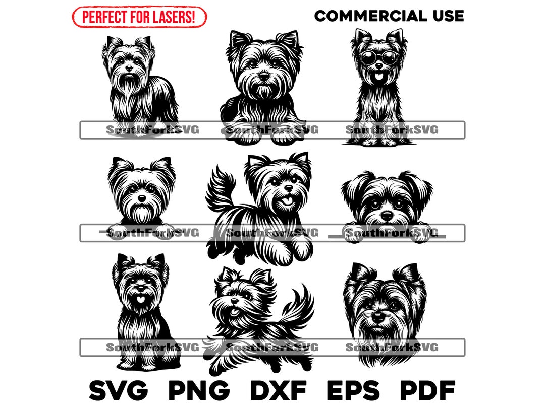 Yorkshire Terrier Design Bundle Svg Png Dxf Eps Pdf | Vector Graphic ...