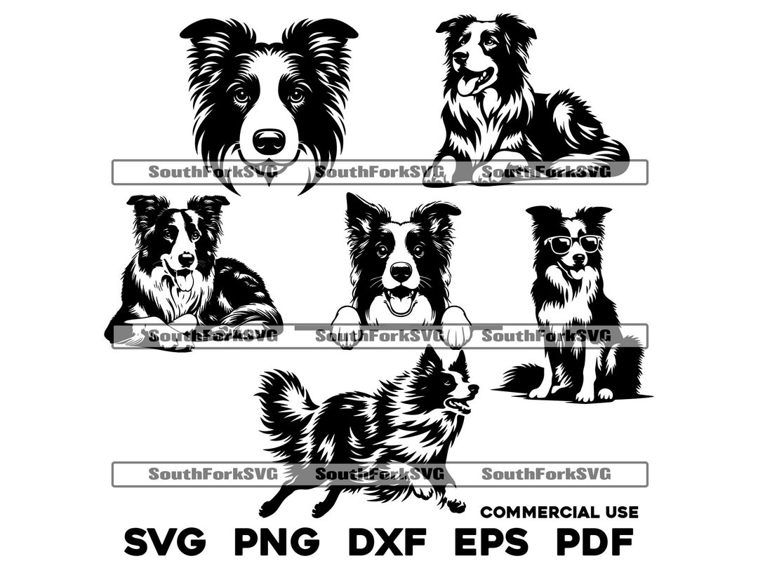 Border Collie Bundle 2 Svg Png Dxf Eps Pdf | Vector Graphic Cut File ...