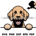 Peeking Goldendoodle Dog Layered by Color Svg Png Dxf Eps Pdf | Vector ...