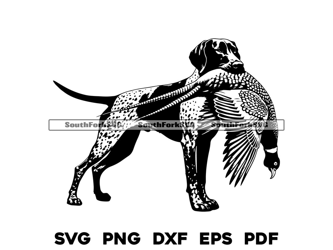 German Shorthaired Pointer Pheasant Hunting | Svg Png Dxf Eps Pdf ...