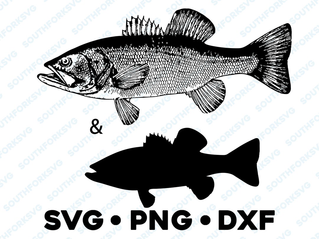 Largemouth Bass Fish SVG PNG DXF Pike Musky Walleye Perch Vector ...