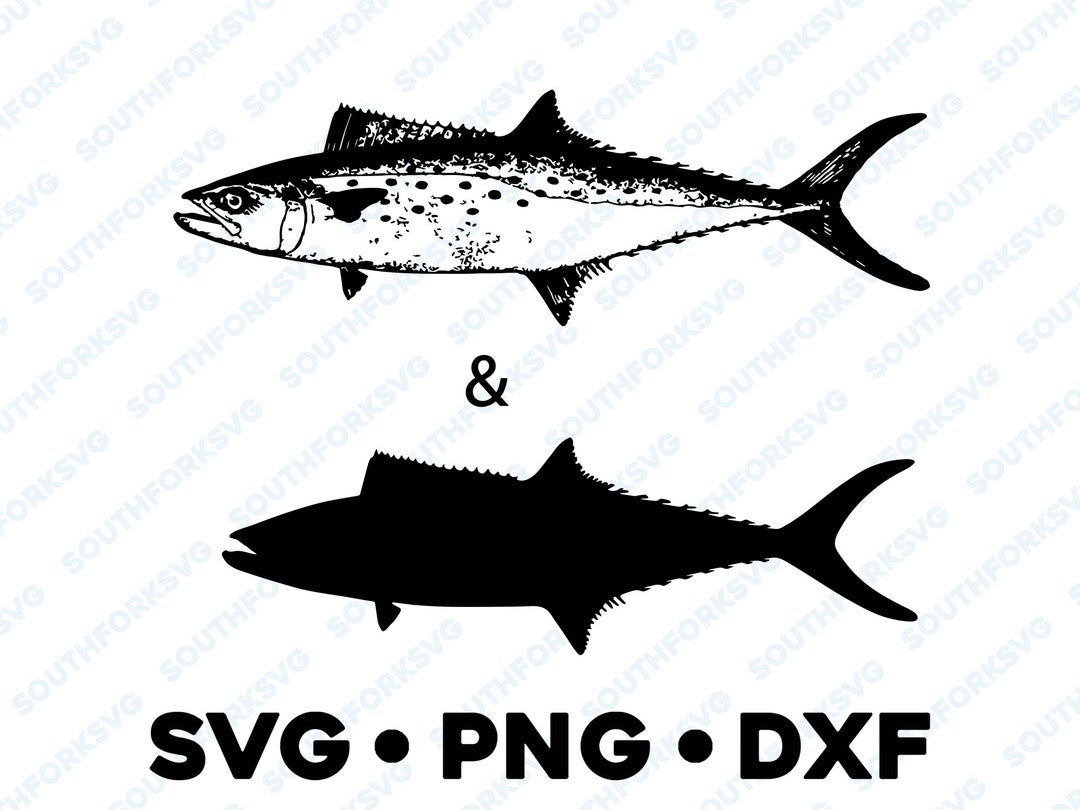 Spanish Mackerel SVG PNG DXF Vector Transparent Graphic Design Cut File ...