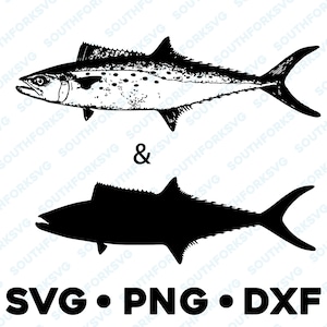 Spanish Mackerel SVG PNG DXF Vector Transparent Graphic Design Cut File ...