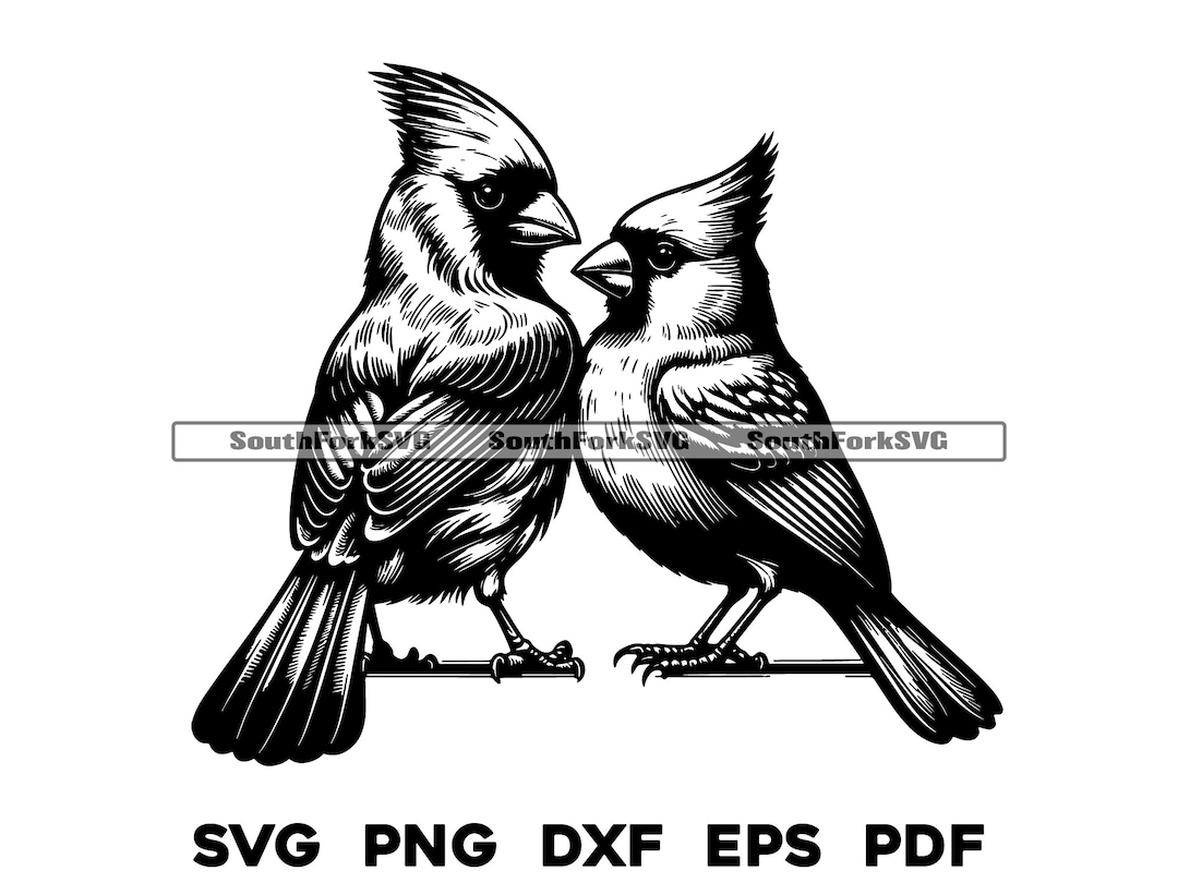 Male & Female Cardinals Design | Svg Png Dxf Eps Pdf | Vector Graphic ...