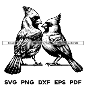 Male & Female Cardinals Design | Svg Png Dxf Eps Pdf | Vector Graphic ...