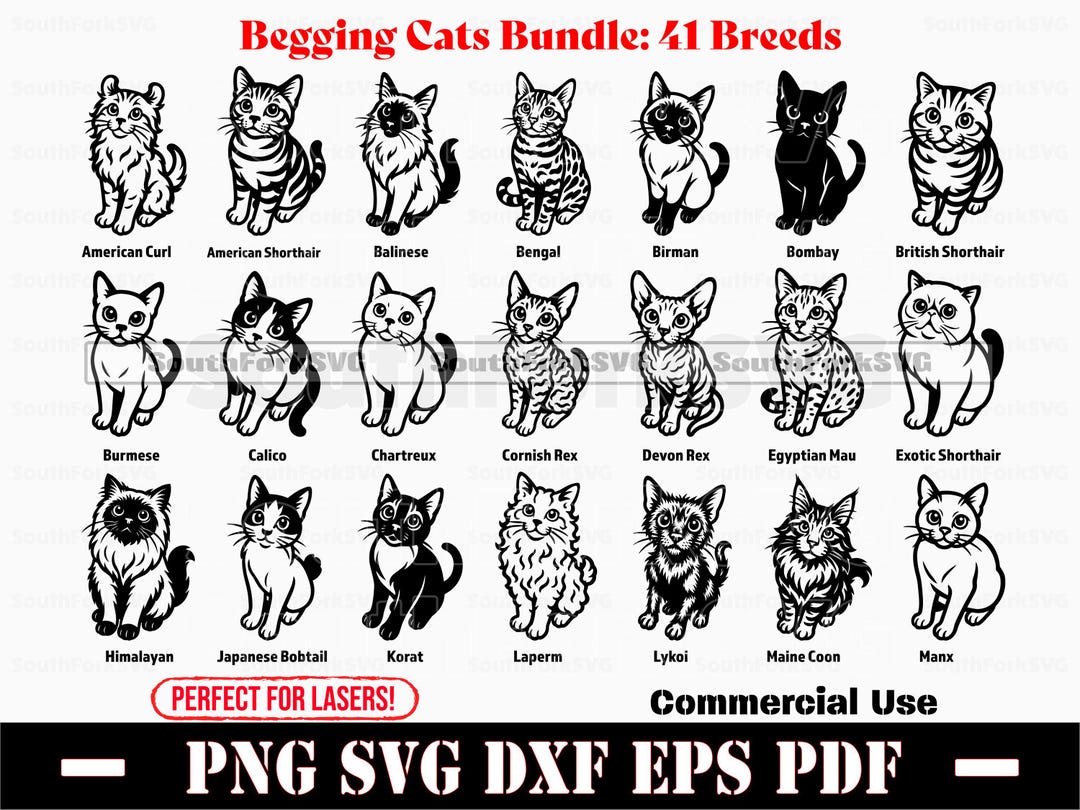41 Begging Cats Mega Bundle Svg Png Dxf Eps Pdf | Vector Graphic Cut ...