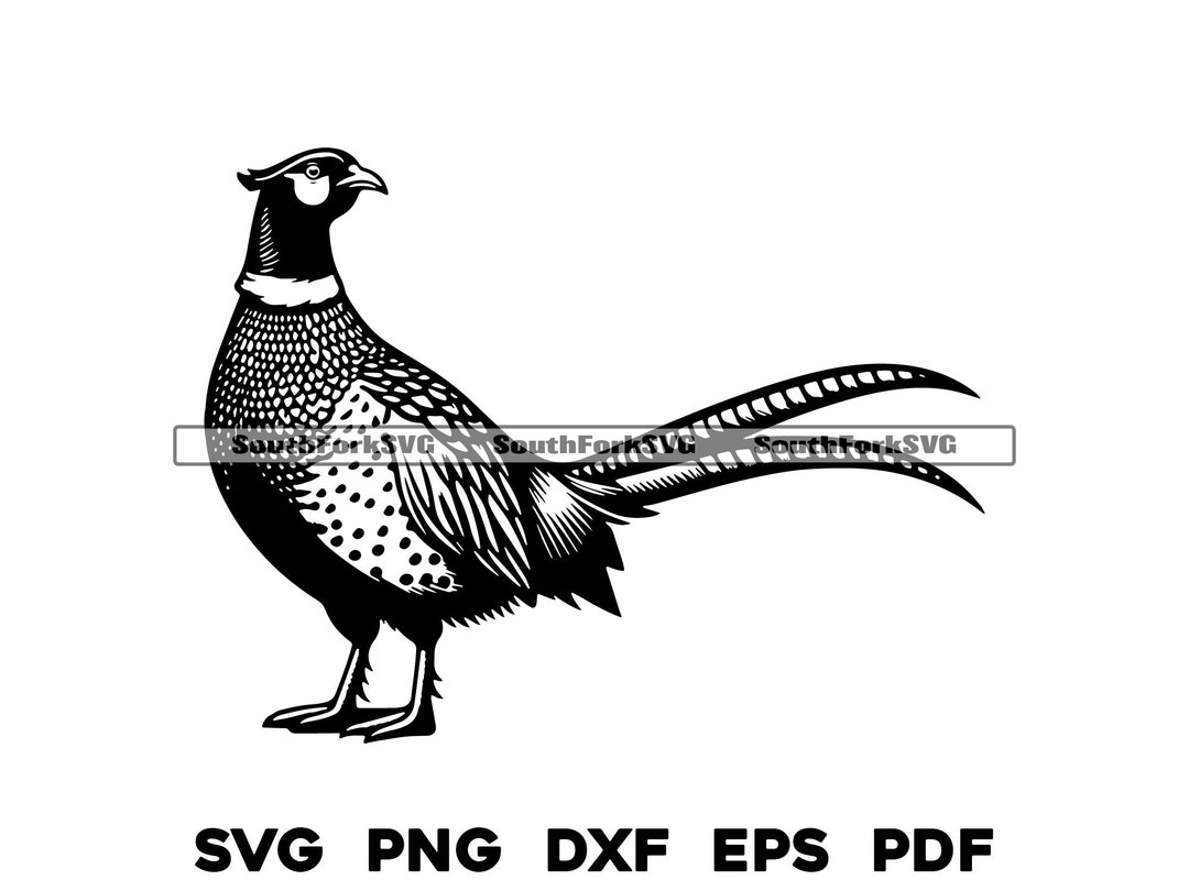 Standing Pheasant Design 2 Svg Png Dxf Eps Pdf | Vector Graphic Design ...
