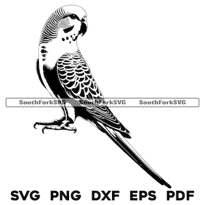 Parakeet Bird Design | Svg Png Dxf Eps Pdf | Vector Graphic Cut File ...
