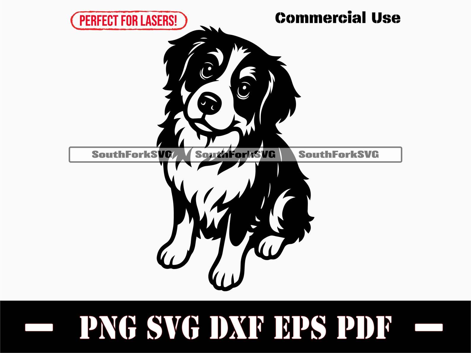 Bernese Mountain Dog Begging Svg Png Dxf Eps Pdf | Vector Graphic ...