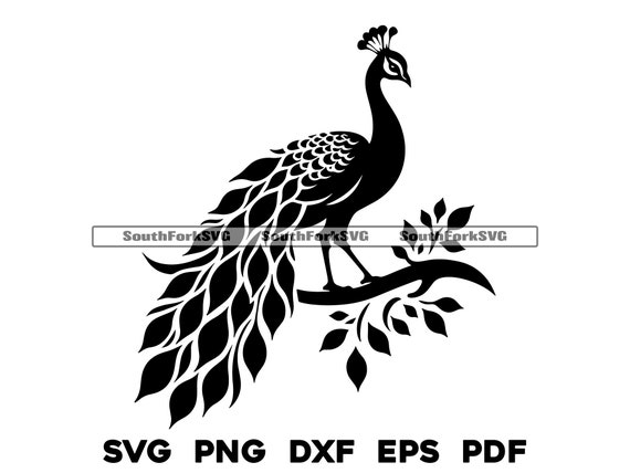 Simple Peacock Design