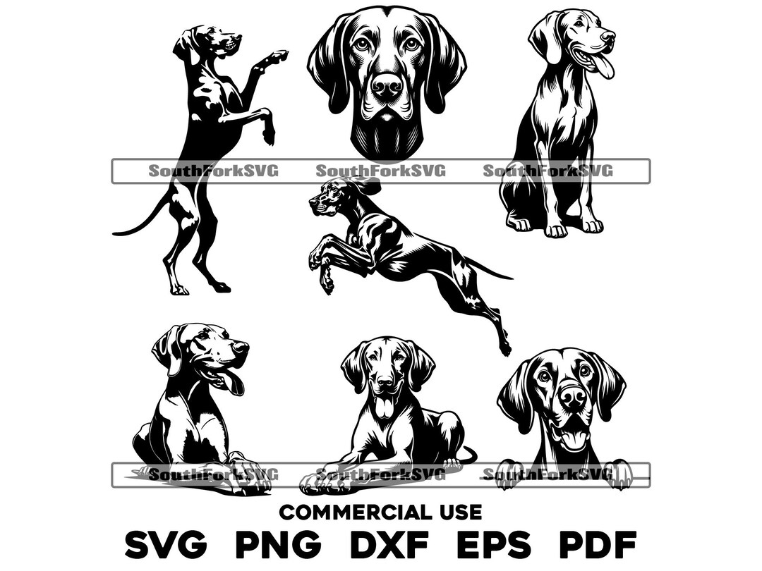 Vizsla Dog Breed Designs Bundle Svg Png Dxf Eps Pdf | Vector Graphic ...