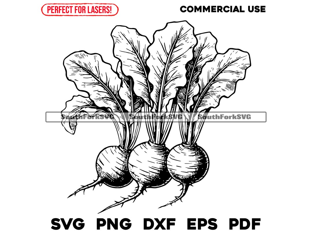 Laser Engrave Files Bunch of Beets Svg Png Dxf Eps Pdf | Graphic Cut ...