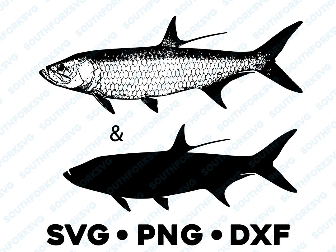 Tarpon SVG PNG DXF Vector Transparent Cameo Silhouette Cut File Saying ...