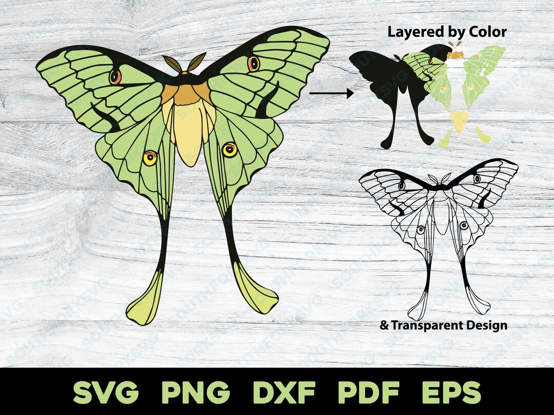 Luna Moth Svg Png Dxf Pdf Eps Layered by Color Cut File Silhouette ...