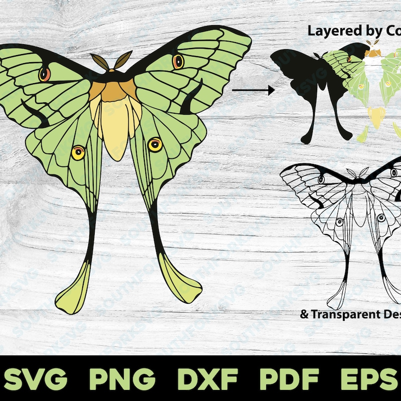 Luna Moth Stencil - Etsy