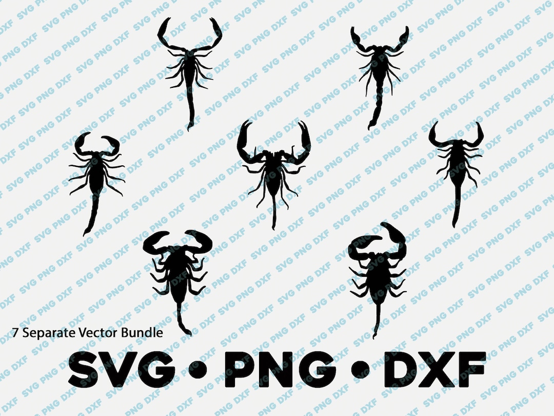 Scorpion SVG PNG DXF Vector Transparent Cameo Silhouette Cut File ...