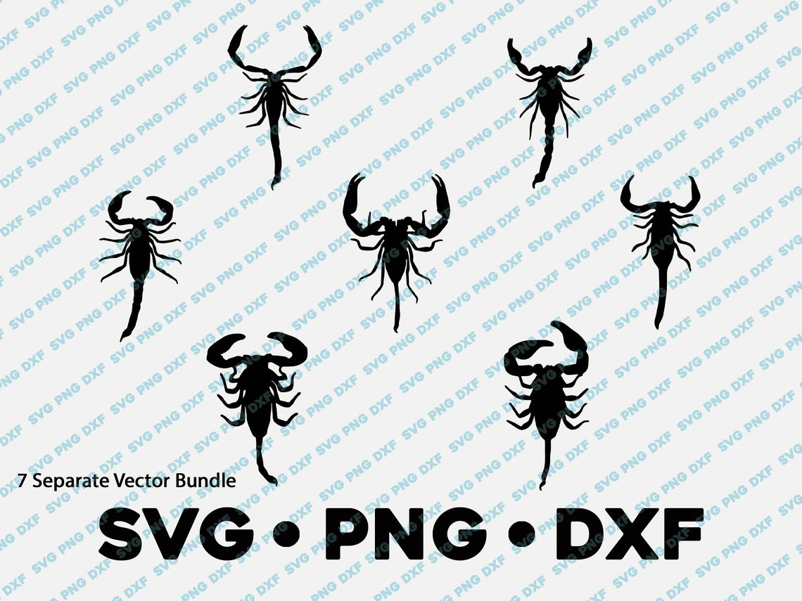 Scorpion SVG PNG DXF Vector Transparent Cricut Cameo | Etsy