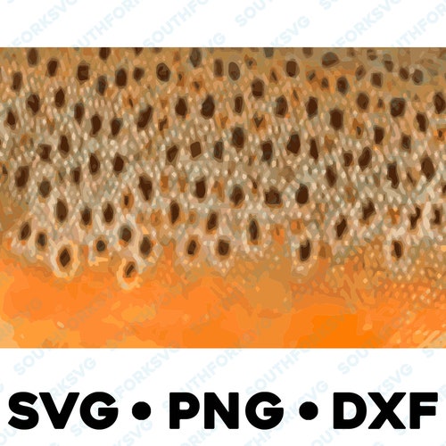 Brook Trout Skin Pattern SVG PNG Vector Transparent Cameo - Etsy