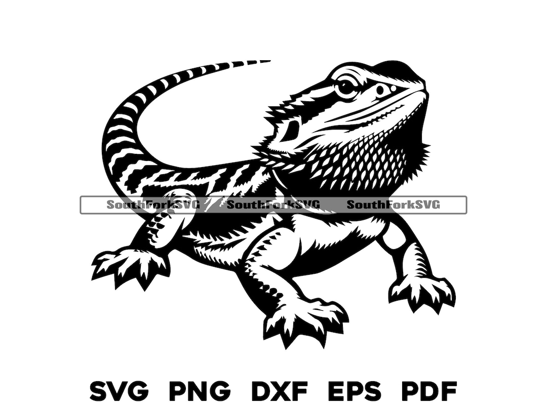 Bearded Dragon Design | Svg Png Dxf Eps Pdf | Vector Graphic Cut File ...