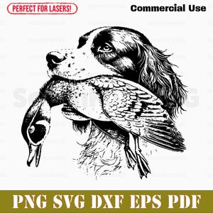 Boykin Spaniel Duck Hunting Dog Portrait Svg Png Dxf Eps Pdf | Vector ...