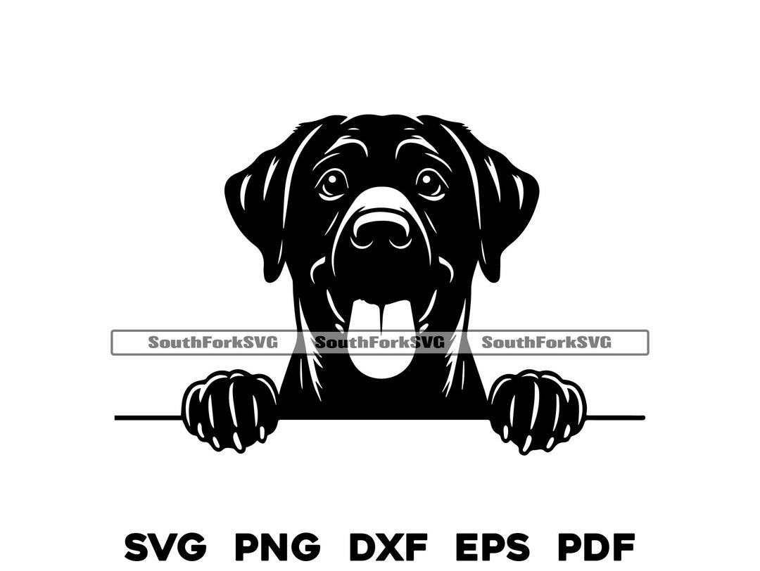 Peeking Black Labrador Retriever Dog Svg Png Dxf Eps Pdf | Vector ...