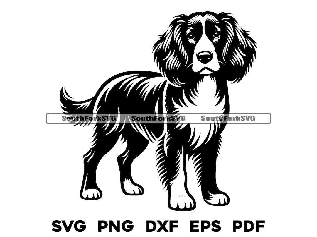 Springer Spaniel Dog Standing Design | Svg Png Dxf Eps Pdf | Vector ...