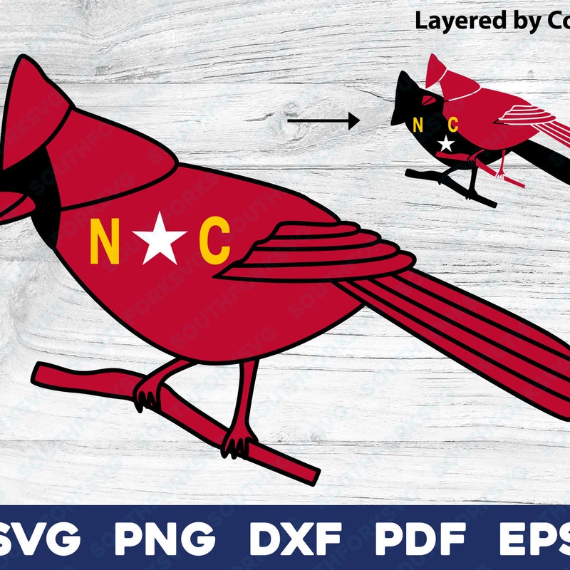 Cardinal Bird With Dogwood Svg - Etsy