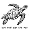 Belted Kingfisher Bird Svg Png Dxf Eps Pdf | Vector Graphic Cut File ...