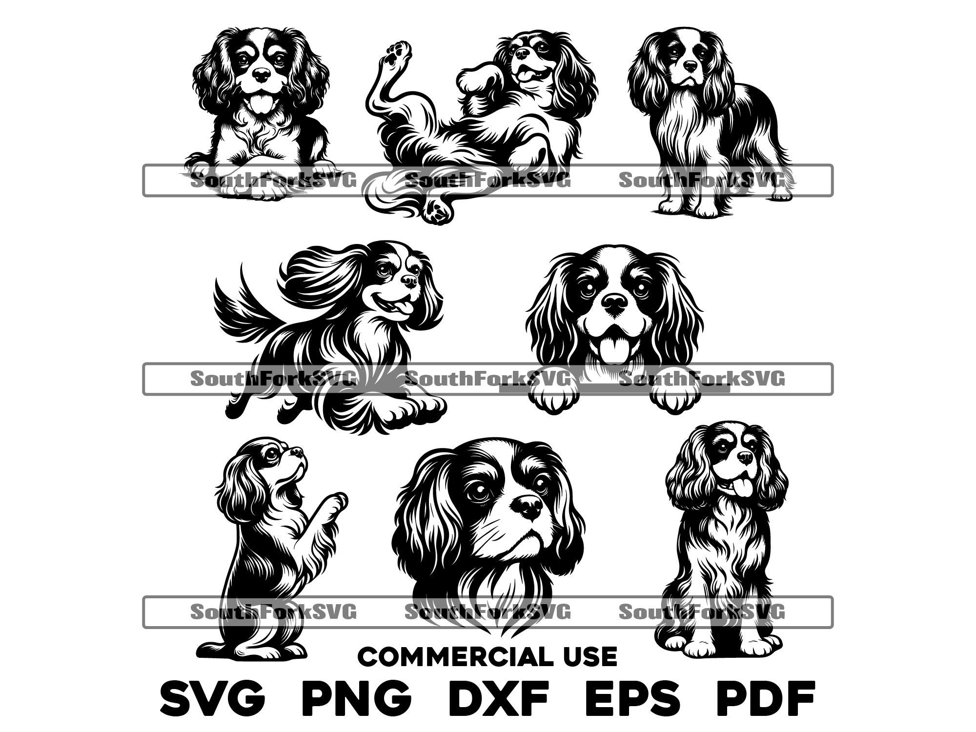 Cavalier King Charles Spaniel Dog Bundle Svg Png Dxf Eps Pdf Vector ...