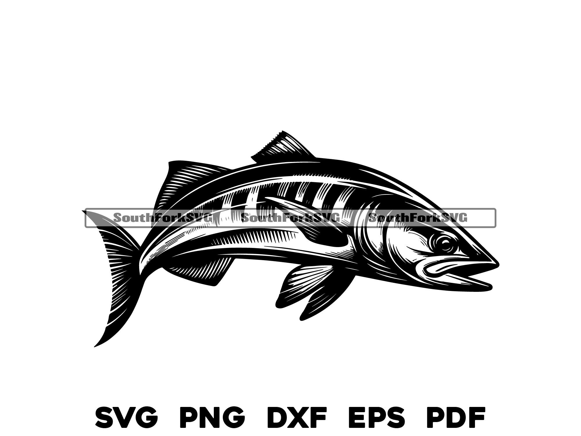 Bluefish Design Svg Png Dxf Eps Pdf Transparent Vector - Etsy