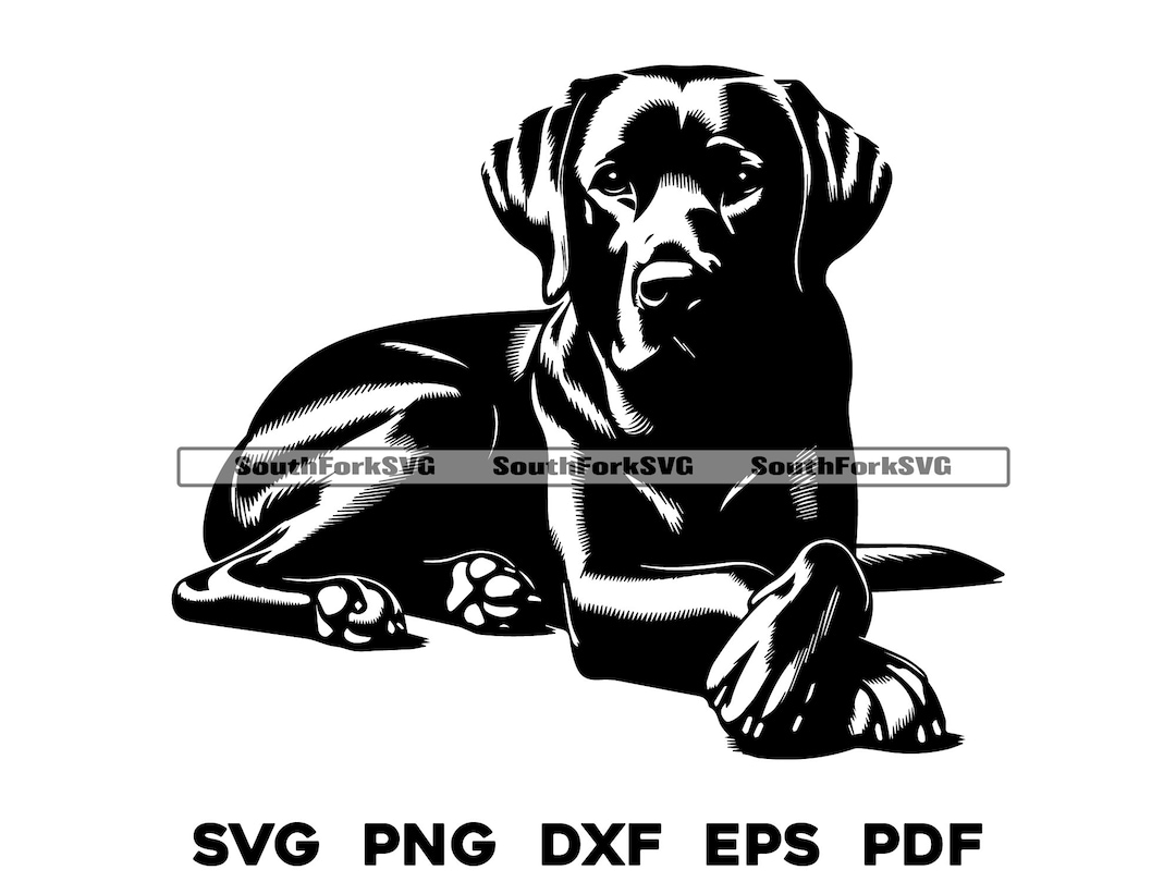 Labrador Retriever Dog Laying Design 4 Svg Png Dxf Eps Pdf | Vector ...