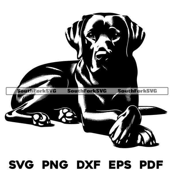Labrador SVG Clipart-hand Drawn Vector Clip Art Graphics-digital ...
