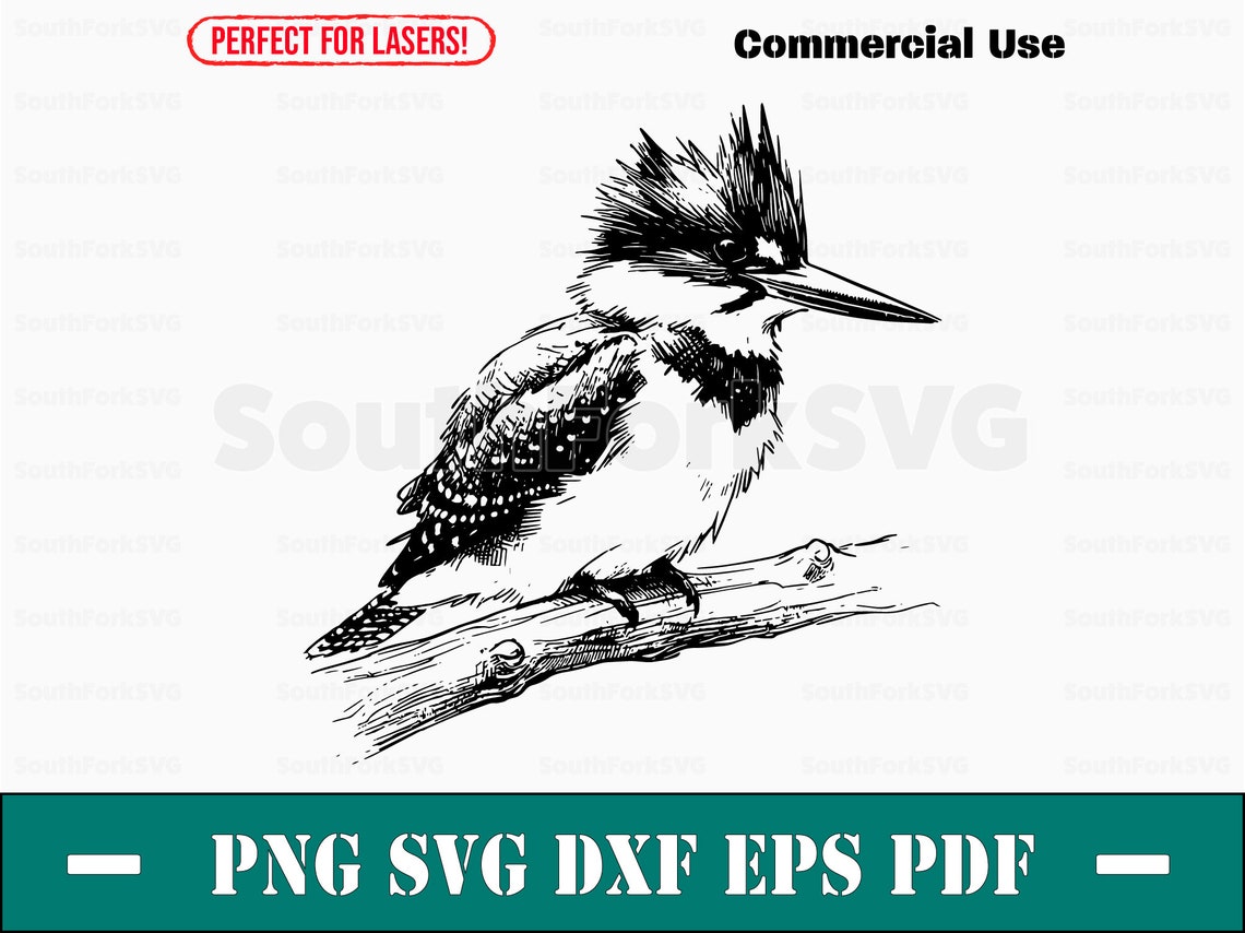 Belted Kingfisher Bird Svg Png Dxf Eps Pdf | Vector Graphic Cut File ...