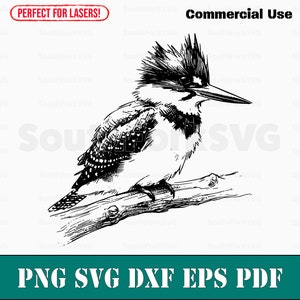 Belted Kingfisher Bird Svg Png Dxf Eps Pdf | Vector Graphic Cut File ...