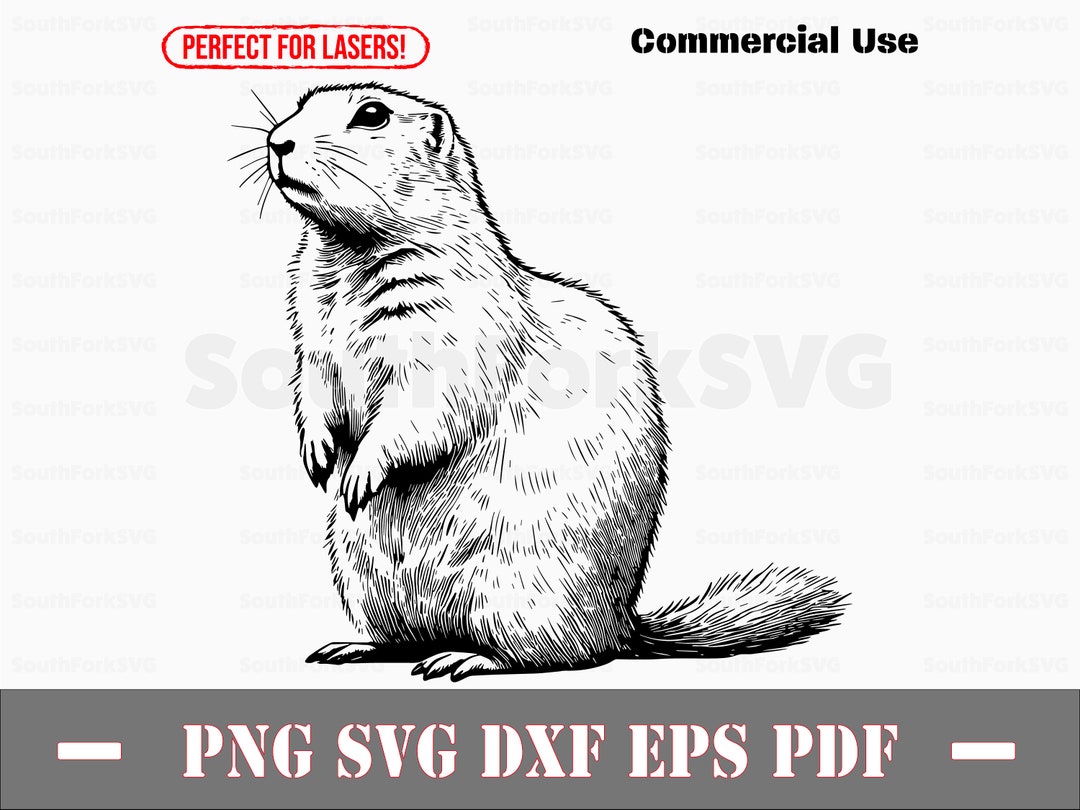 Cute Prairie Dog Laser Engrave Files Svg Png Dxf Eps Pdf | Vector ...