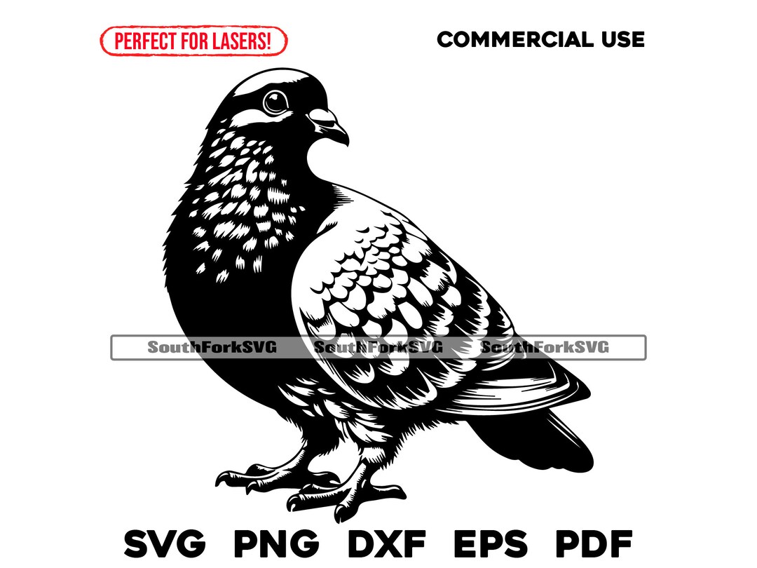 Pigeon Bird Design | Svg Png Dxf Eps Pdf | Vector Graphic Cut File ...