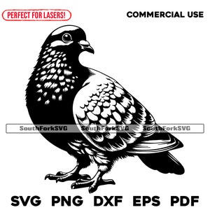 Pigeon Bird Design | Svg Png Dxf Eps Pdf | Vector Graphic Cut File ...