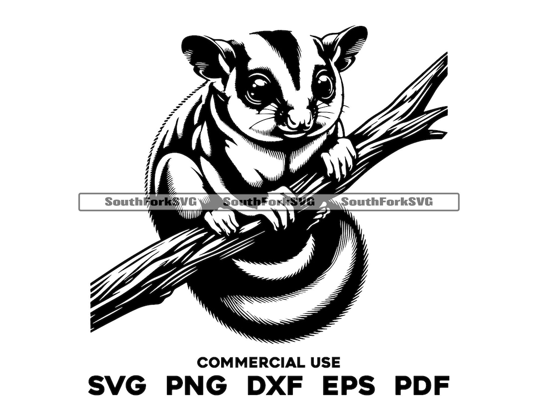 Sugar Glider Design | Svg Png Dxf Eps Pdf | Vector Graphic Cut File ...