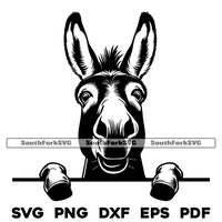 Farm Donkey Clipart Set - 4 Vector Images for Digital Download - Svg ...