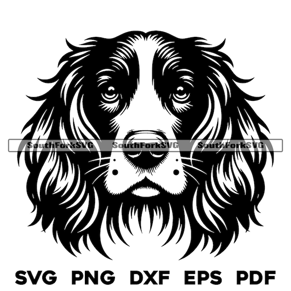 Springer Spaniel Art - Etsy