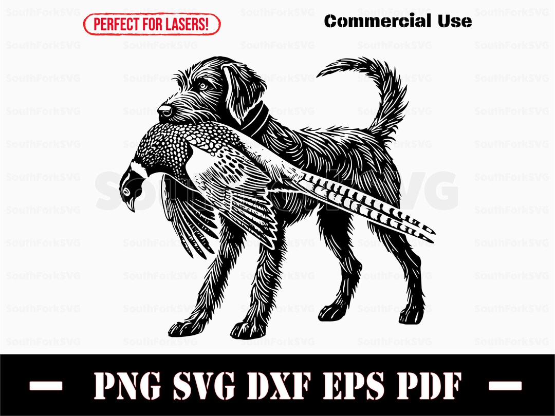 German Wirehaired Pointer Pheasant Hunting Svg Png Dxf Eps Pdf | Vector ...
