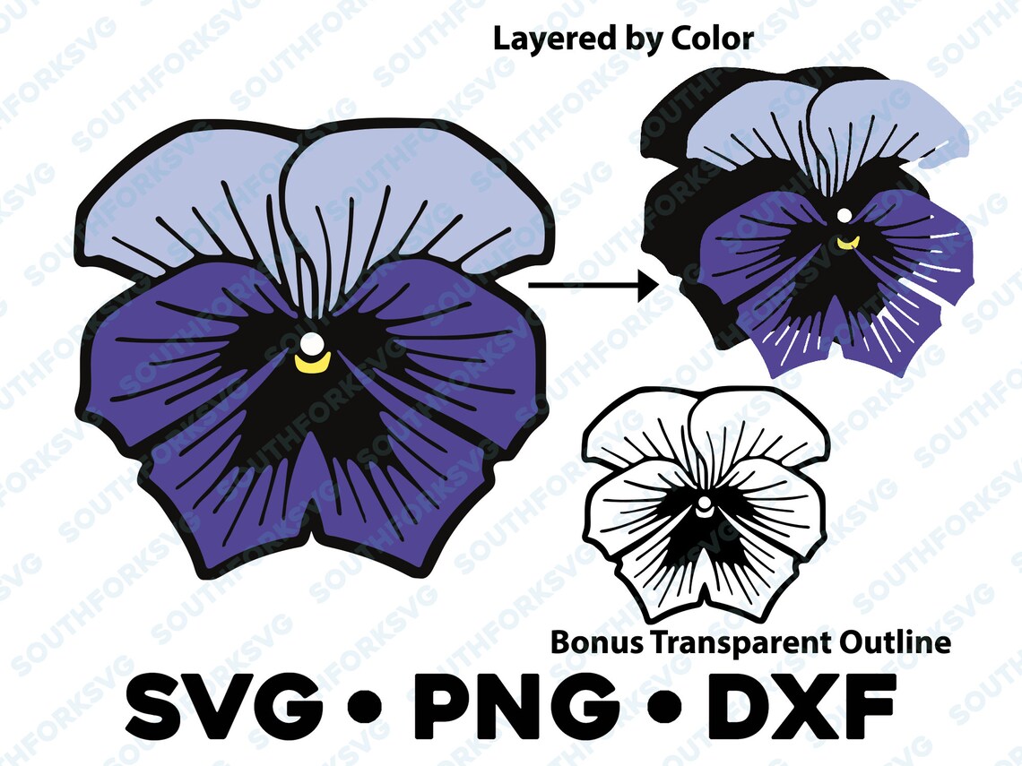 Pansy Flower SVG PNG DXF Layered by Color Cut File Silhouette Cameo ...
