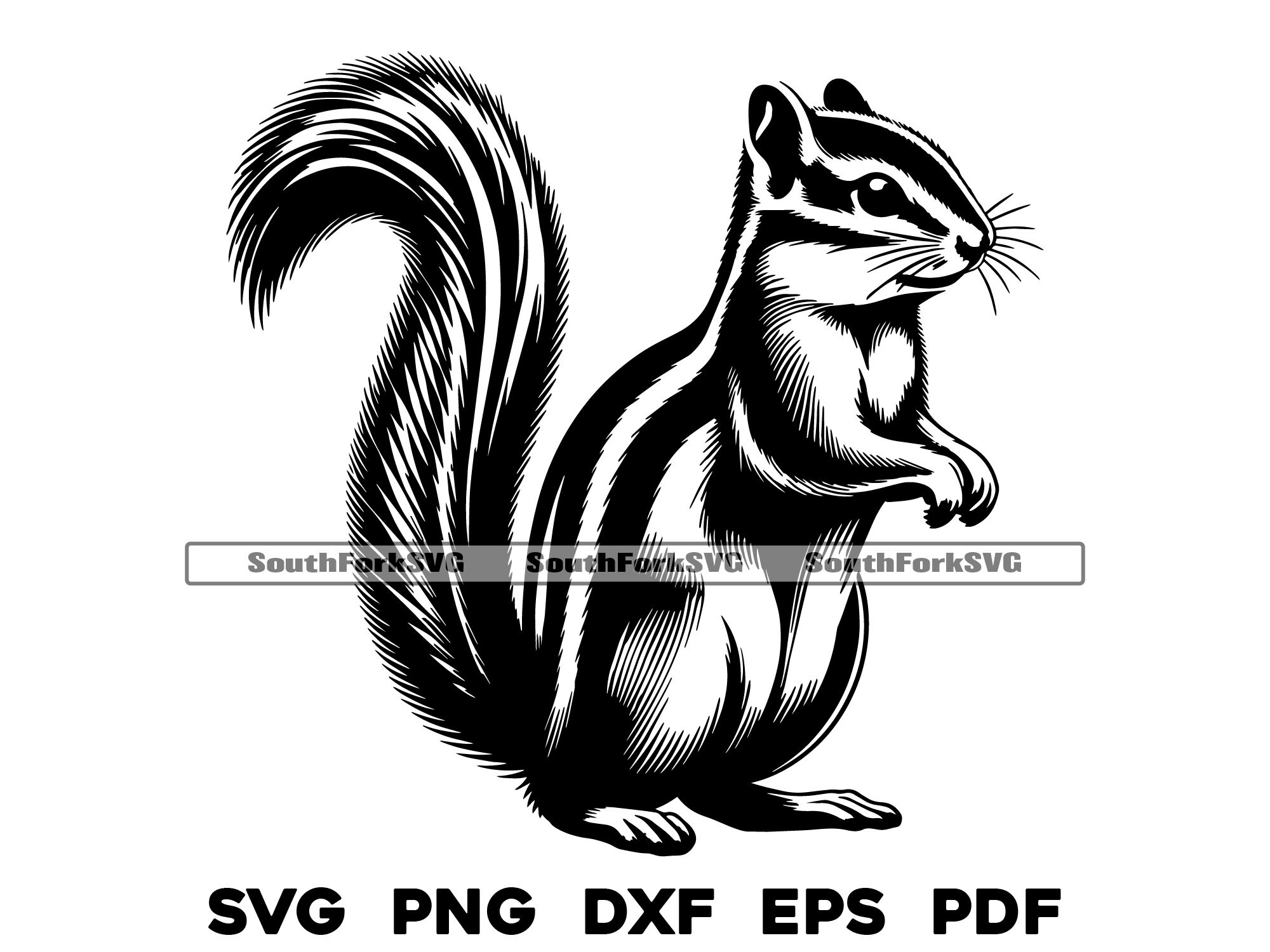Chipmunk Design Files Svg Png Dxf Eps Pdf Vector Graphic - Etsy